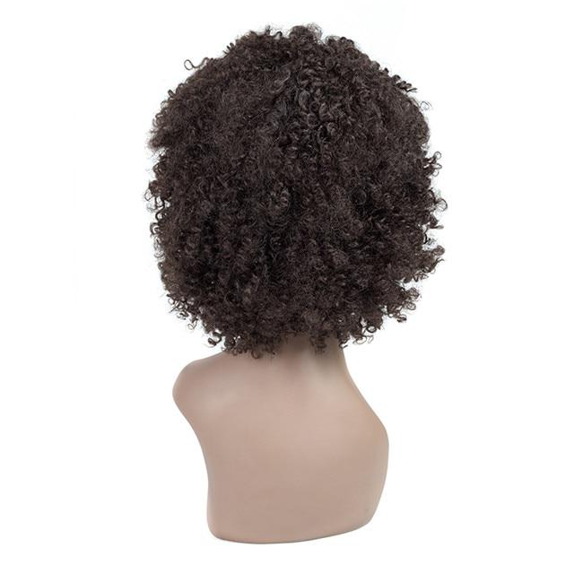 Buy Miss Rola BLOOM Curly Synthetic Wigs SP1B/27# 5Inch Stripes Short ...