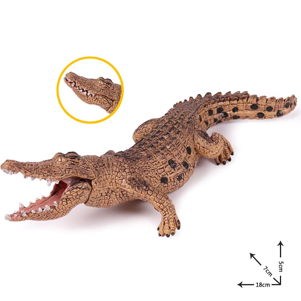 Simulated Crocodile Model Toy Jaw Movable Wild Animal Model uygun ...