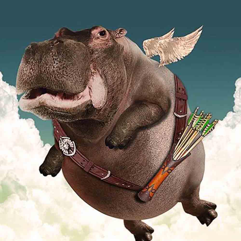Buy Flying Hippopotamus 5D Diamond Painting Cross Stitch Full Round DIY ...